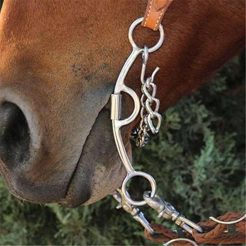 Professional's Choice Derby - 6.75" Twisted Low Port Bit