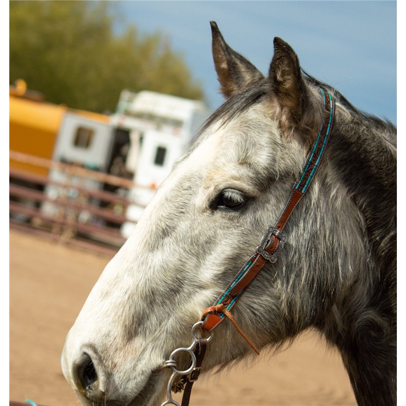 Painted Leopard Headstall and Breast Collar Set